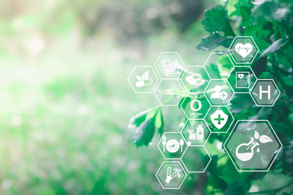 6 Benefits of Environmental Remediation & Its Importance | Cactus ...