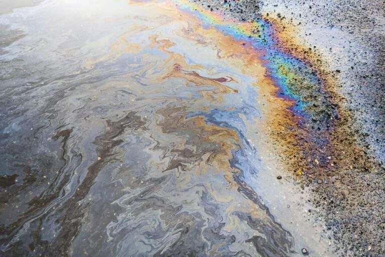 What is Environmental Remediation? The Types of Remediation | Cactus ...